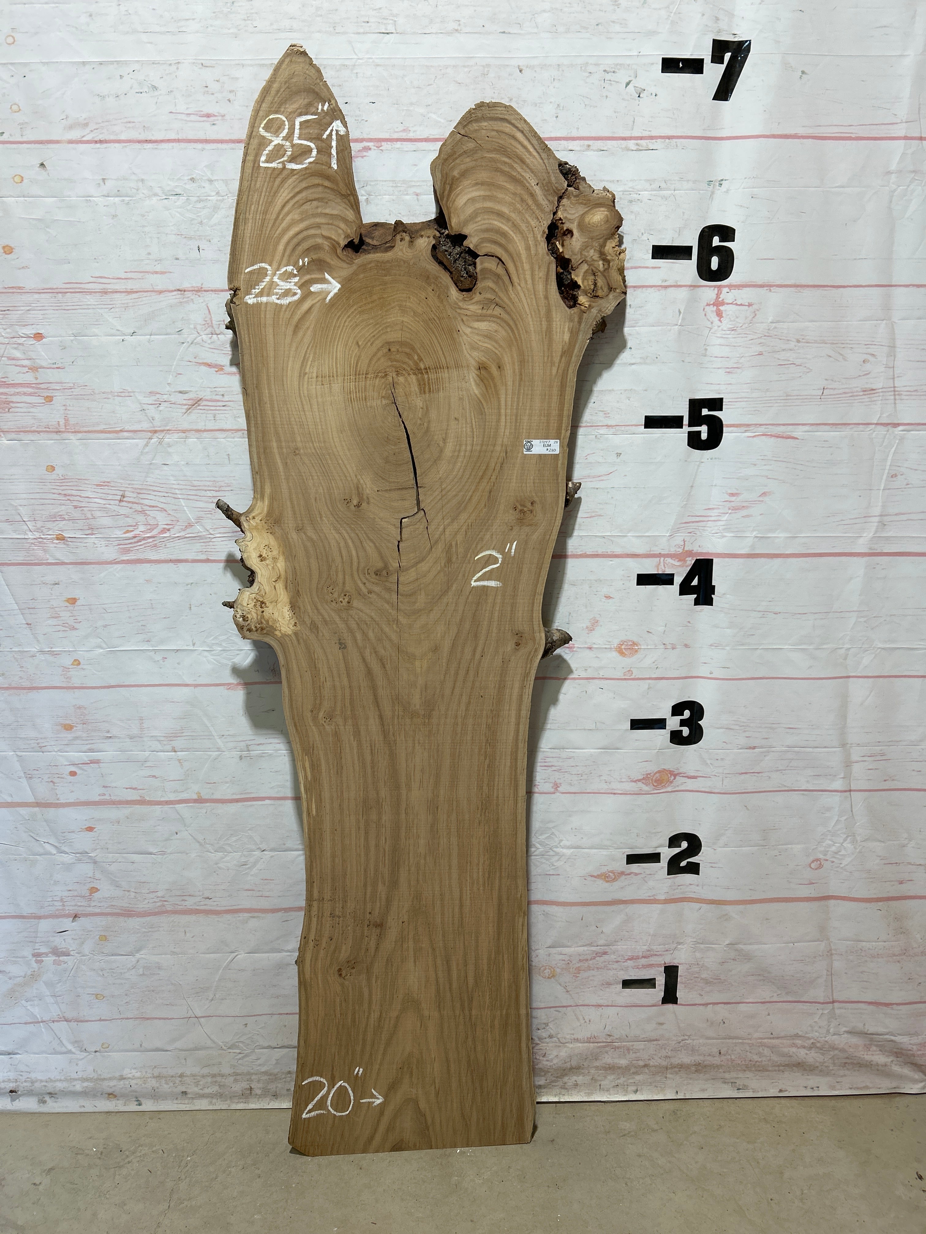 Live Edge Elm Slabs, Elm Wood Slabs With Live Edge, Kiln Dried ...
