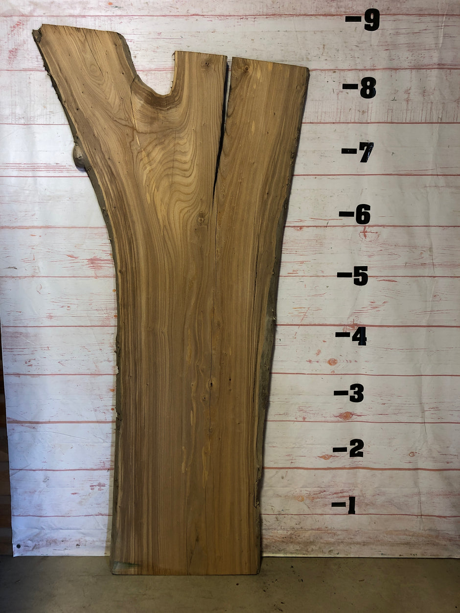 Live Edge Elm Slabs, Elm Wood Slabs With Live Edge, Kiln Dried ...