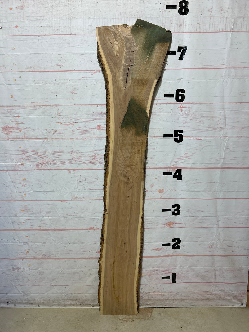 Live Edge Elm Slabs, Elm Wood Slabs With Live Edge, Kiln Dried ...