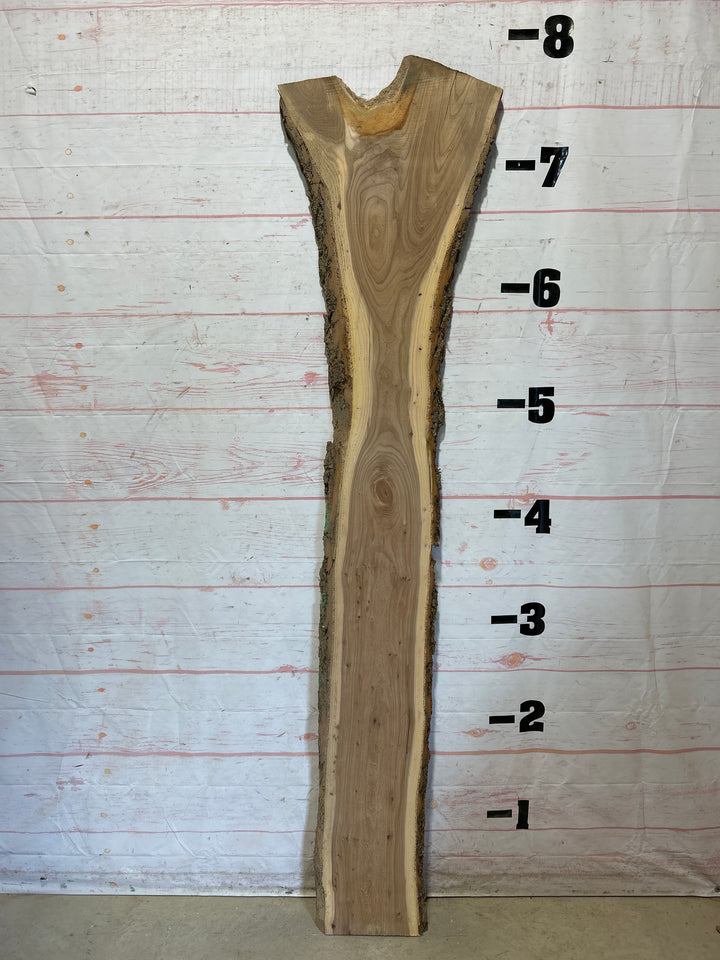 Live Edge Elm Slabs, Elm Wood Slabs With Live Edge, Kiln Dried ...