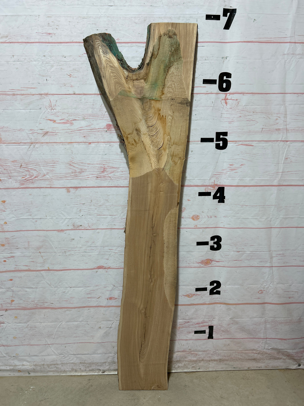 Live Edge Elm Slabs, Elm Wood Slabs With Live Edge, Kiln Dried ...