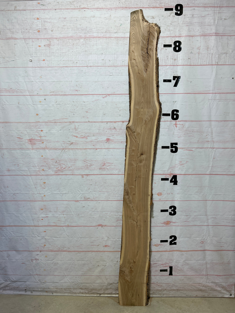 Live Edge Elm Slabs, Elm Wood Slabs With Live Edge, Kiln Dried ...