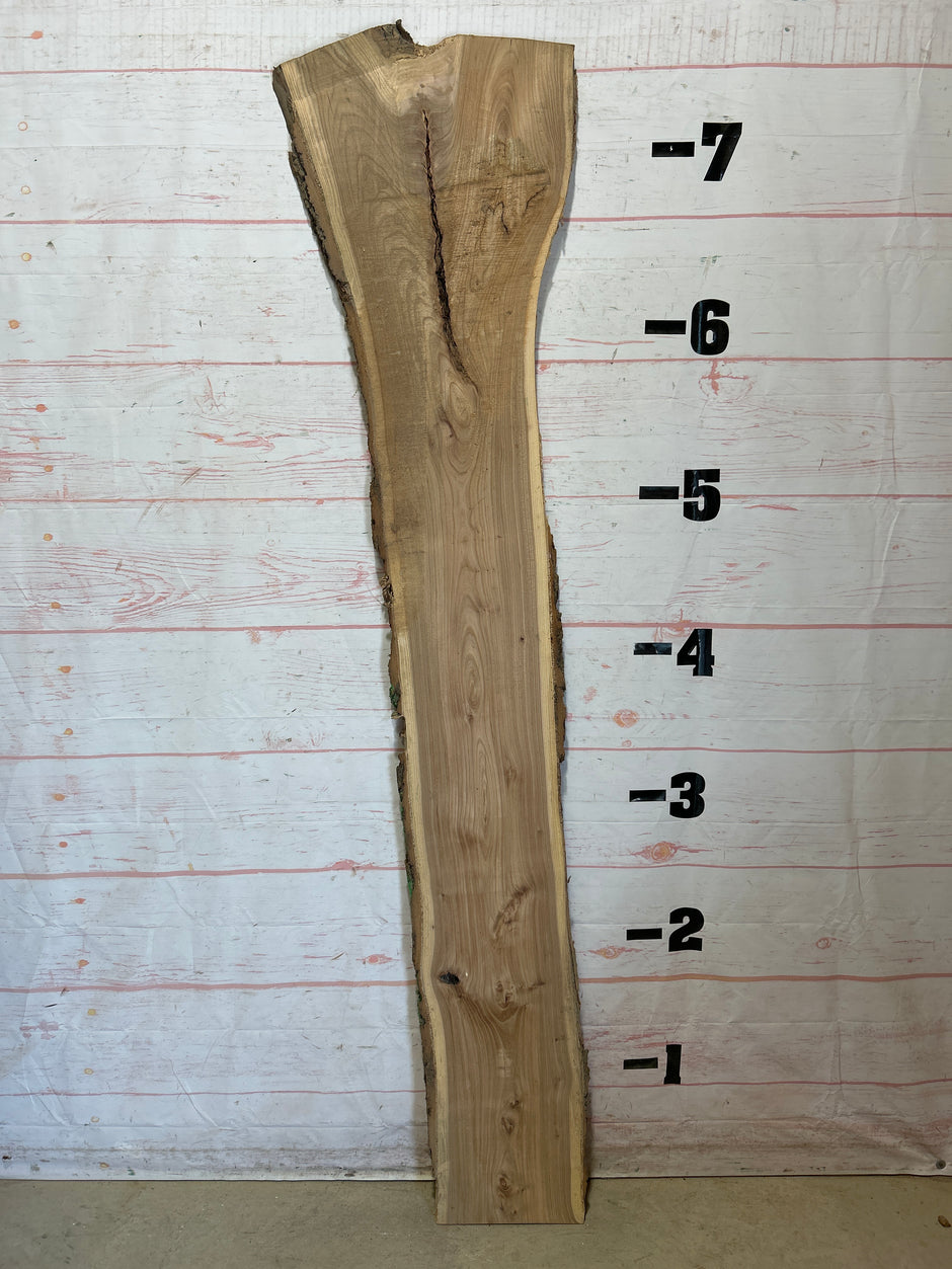 Live Edge Elm Slabs, Elm Wood Slabs With Live Edge, Kiln Dried ...