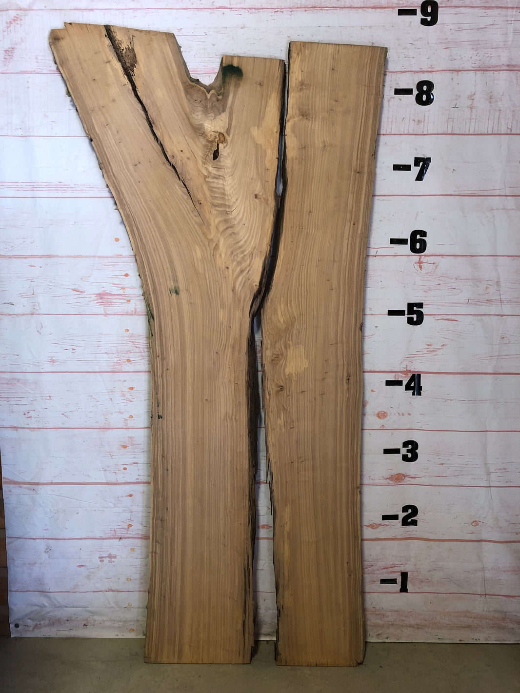 Live Edge Elm Slabs, Elm Wood Slabs With Live Edge, Kiln Dried ...